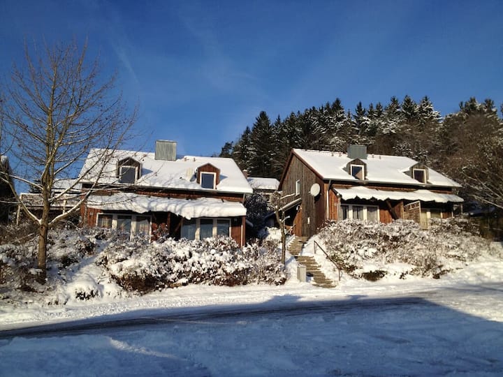 Ferienhaus 53 Mit Infrarotsauna (Ferienhäuser Schl - Zandt