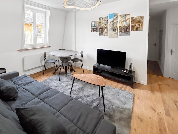 Calme Et Confort Au Cœur Du Vieux Troyes - Troyes