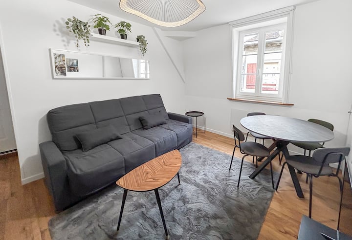 Au Cœur De Troyes • 4 Pers • Parking Proche - Troyes