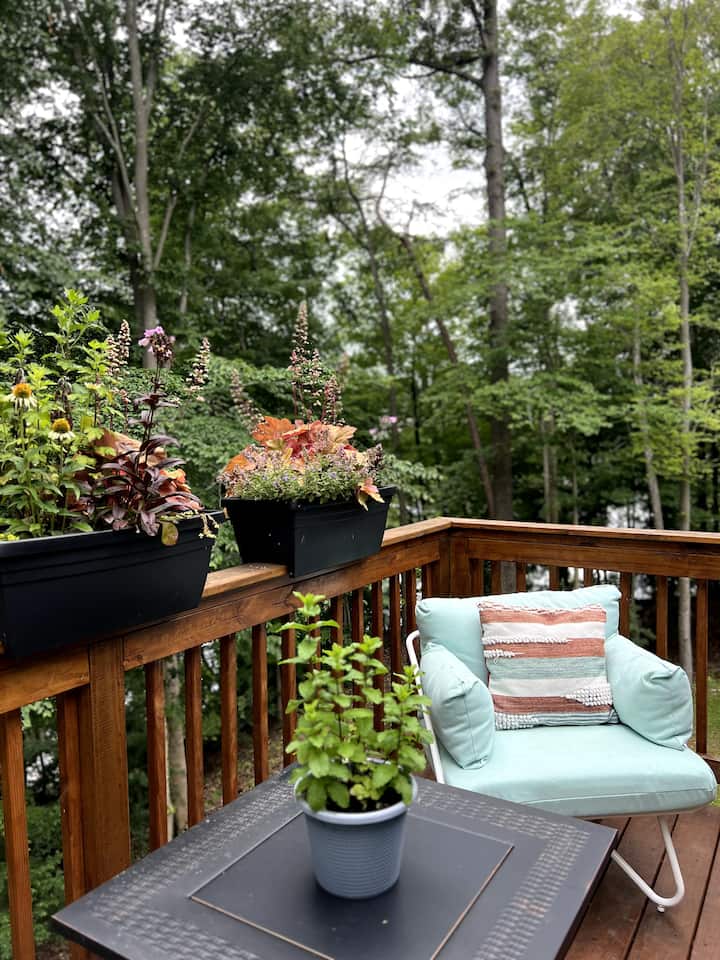 Charlotte Treetop Retreat On Lake Wylie - Lake Wylie, SC