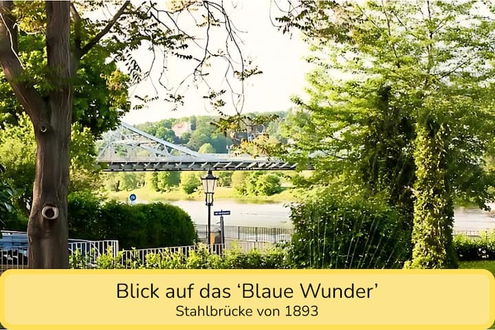Stilvolle Große Wohnung Mit Elbblick Und Terrasse - Dresden