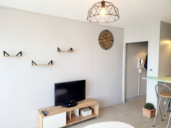 1 Bedroom Flat In Gex - Gex
