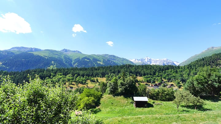 Fewo In Idyllischer Bergwelt - Bettlihorn - Bellwald