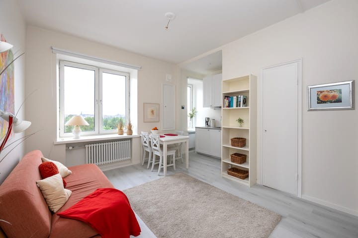 Top Floor Studio With City Views - Helsinki
