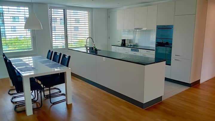 Grosszügiges Familienapartment In Top-lage - Lucerne