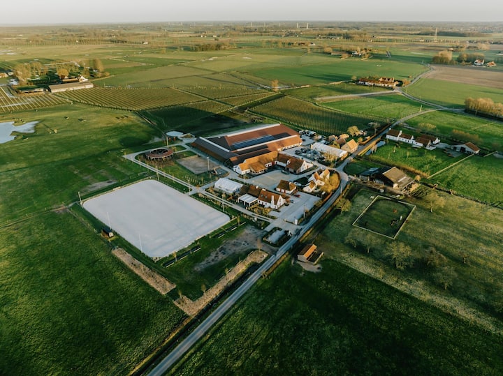 Wijndomein Merula -De Blauwe Zaal - Bruges