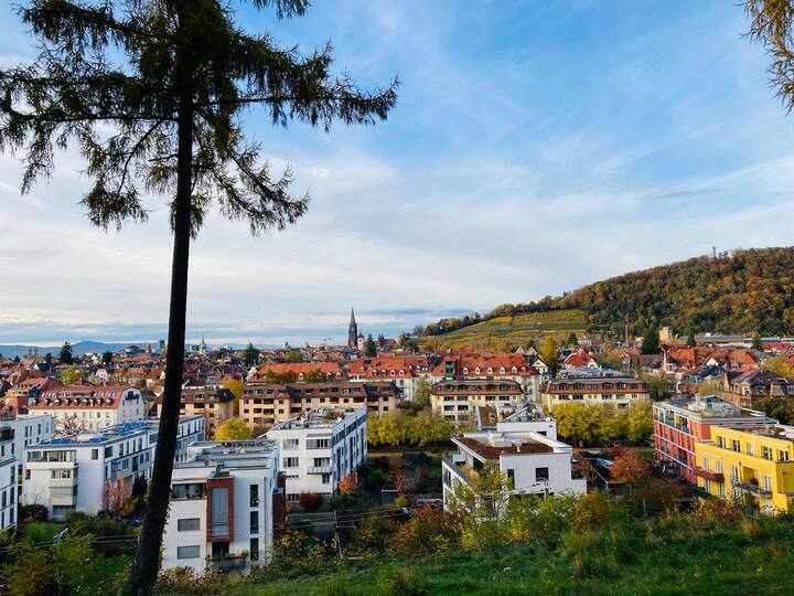 Female Guest Room, Central Location - Freiburg im Breisgau