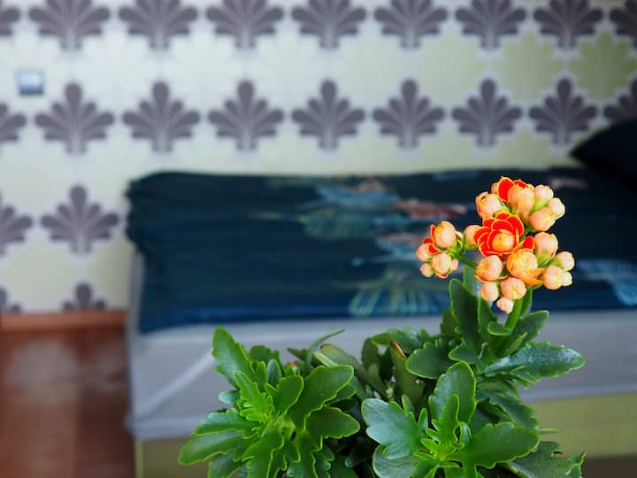 Zakrzówek 42 - Krakow