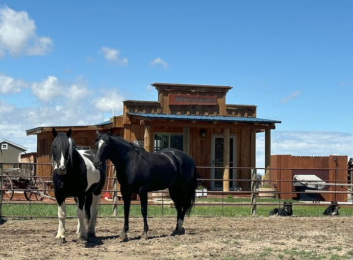 The Bunkhouse/private Cabin/all Amenities - Wyoming