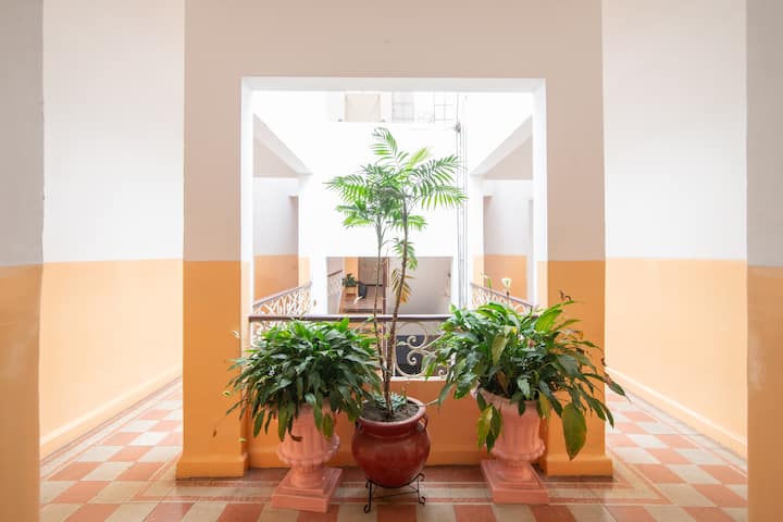 New Launch Art Deco | Roma Norte | Walk Everywhere - Ciudad de México