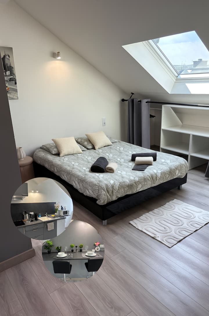 Le Charmant Studio Des Plantes - Rouen