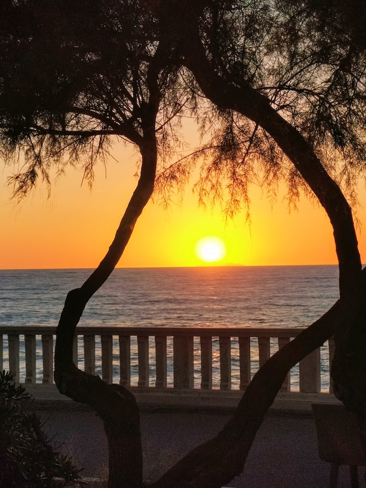 Casa La Dori - Rosignano Marittimo