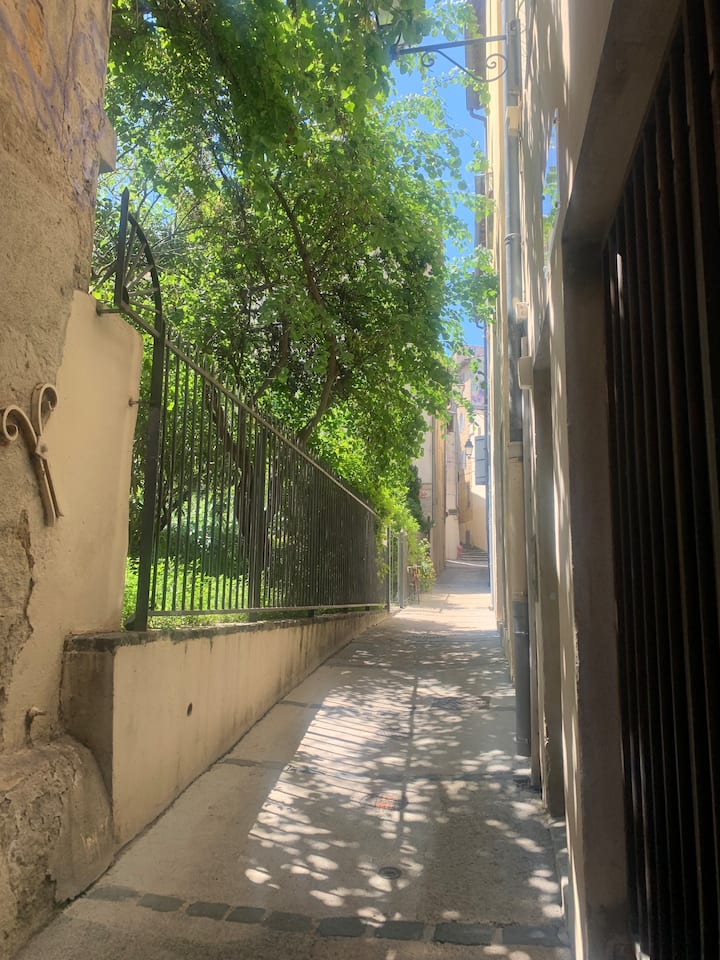 Grand Appartement De 110 M2´ - Montpellier