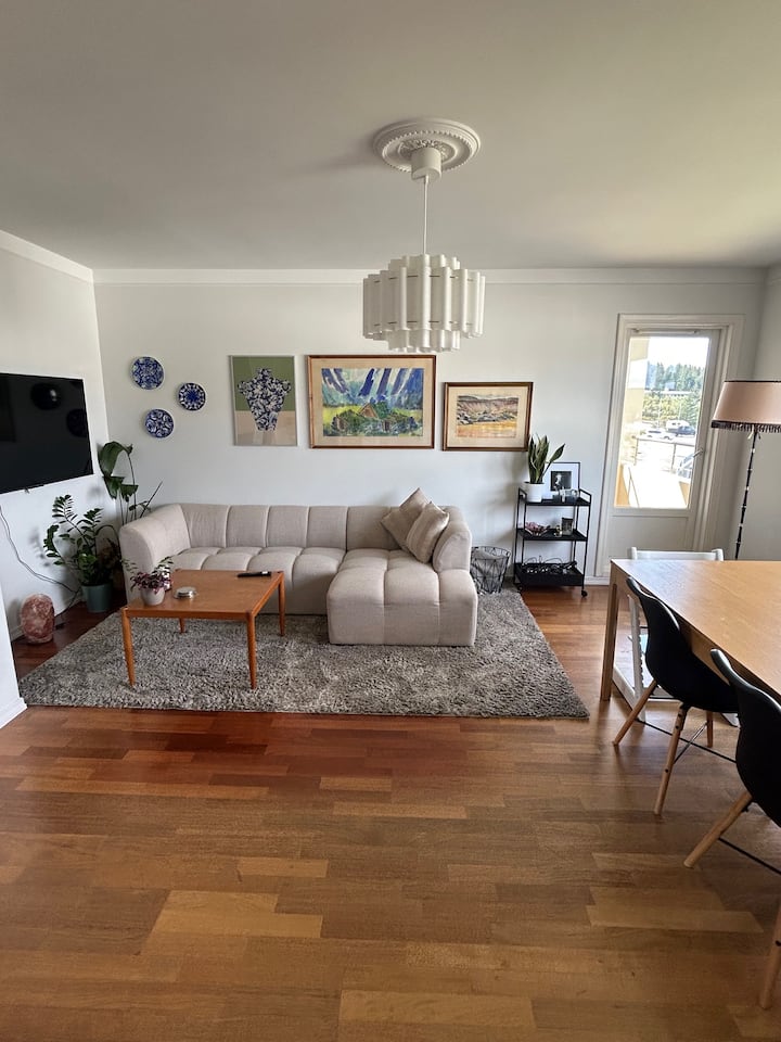 Apartment In Downtown Reykjavík - Reykjavik