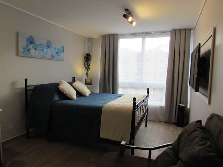 Departamento Junto A Movistar Arena Y Parque - Santiago del Chile