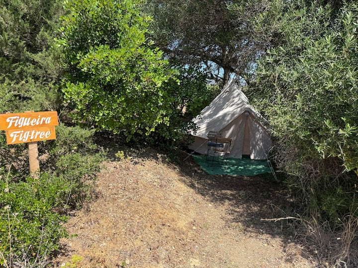Bela Glamping - Figueira - Fuseta