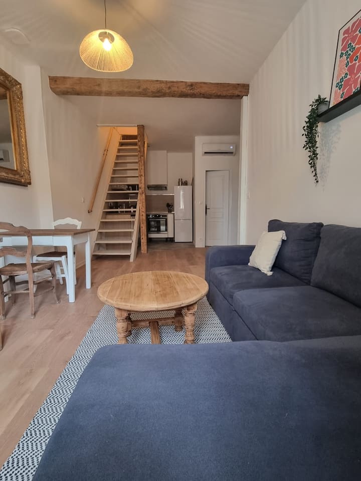 Duplex T3 - Centre Ville - Clim - Villeneuve-lès-Avignon