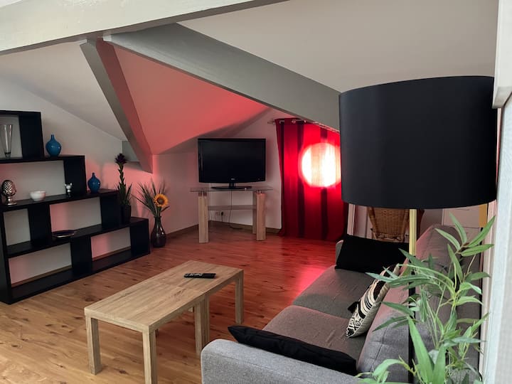 T2 Avec Borne & Parking - Centre Dax, Tout Confort - Dax