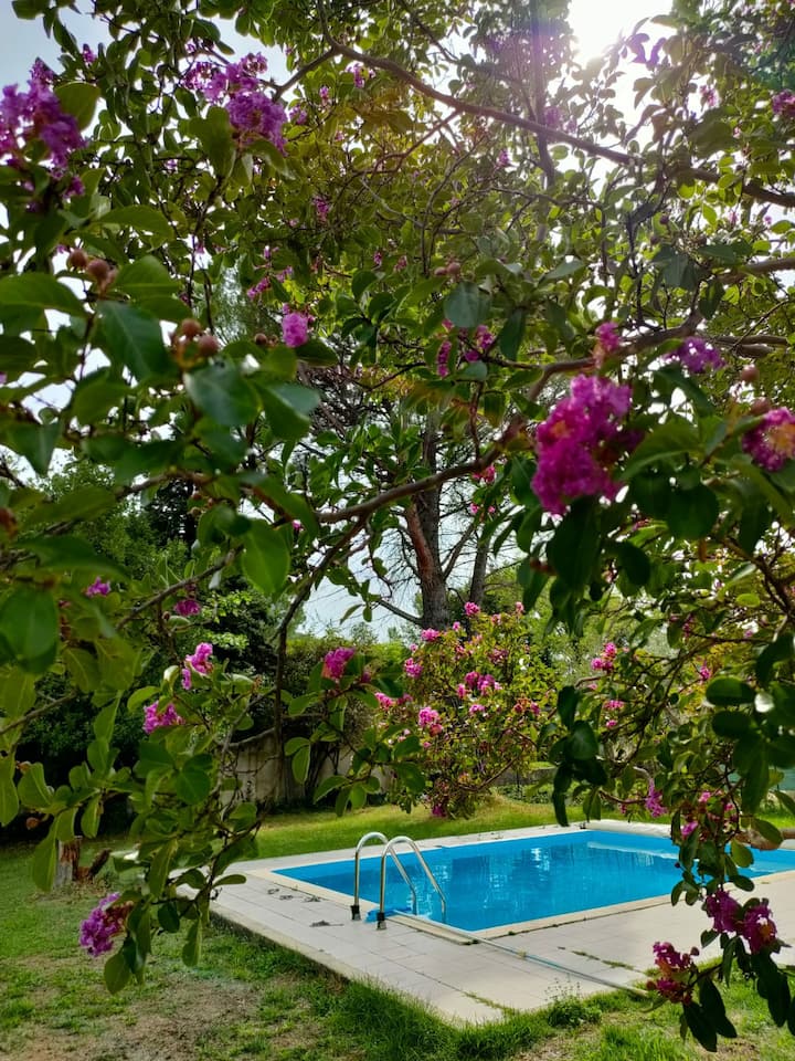 Rdc Villa Avec Piscine Privée Au Calme - Nyons