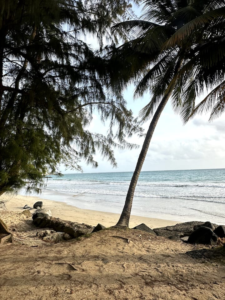 Escondida Beach - Carolina