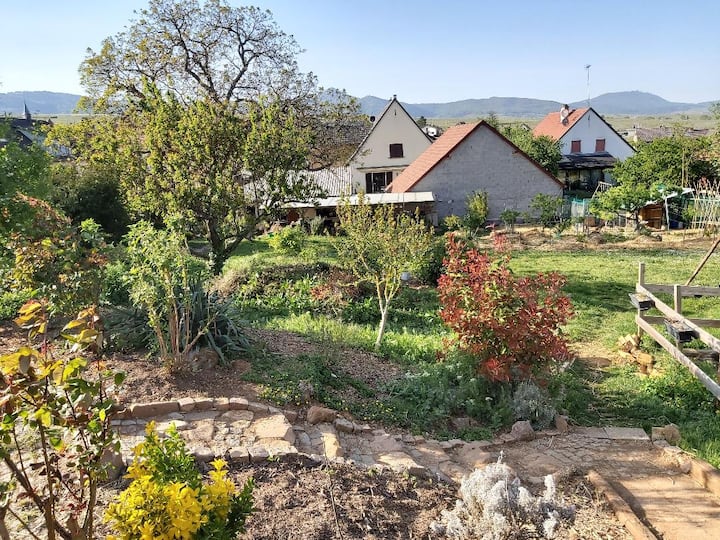 Gîte Au Calme, Parking, Près Colmar & Riquewihr - Riquewihr