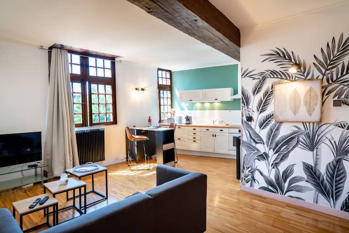 T3 Classé Monument Historique Xvie – Saumur Centre - Saumur