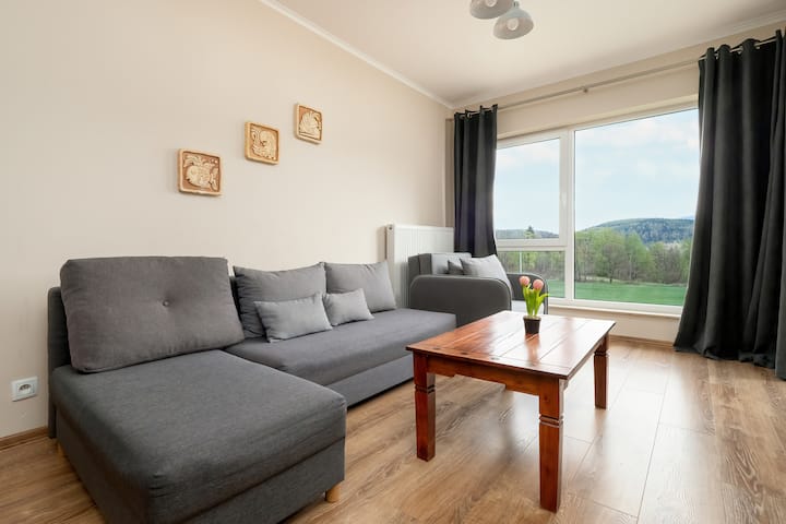 Waryńskiego 3a | Szklarska Poręba |Large Apartment - Szklarska Poręba