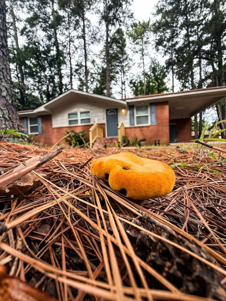 New 3br Near Fortlib | Family & Military Discounts - Fayetteville, NC