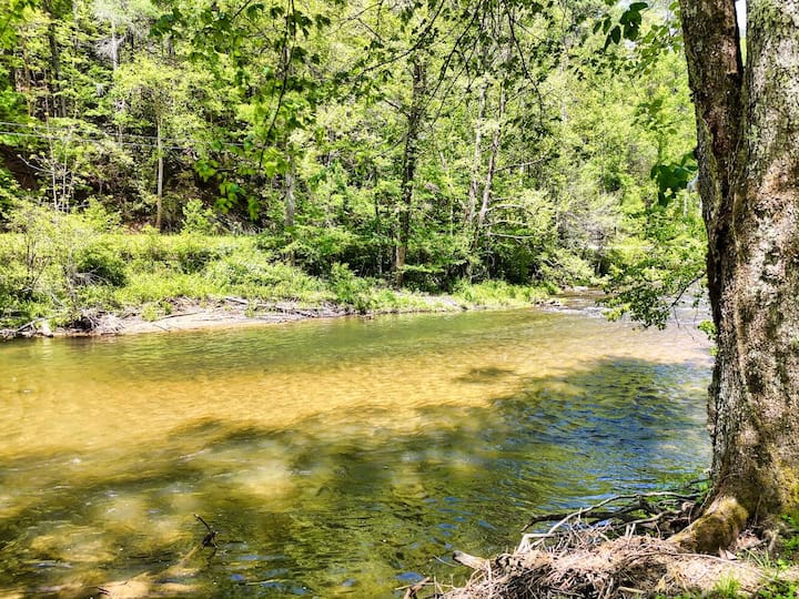 Peaceful Toccoa River Cabin - Fishing Retreat! - Suches, GA