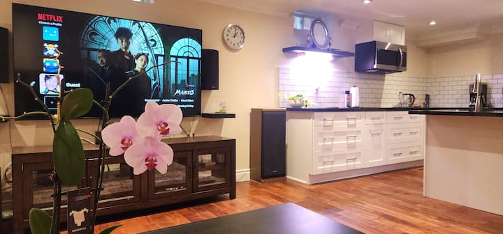 Elegant Full Basement. ~1000 Sq Ft - Vaughan