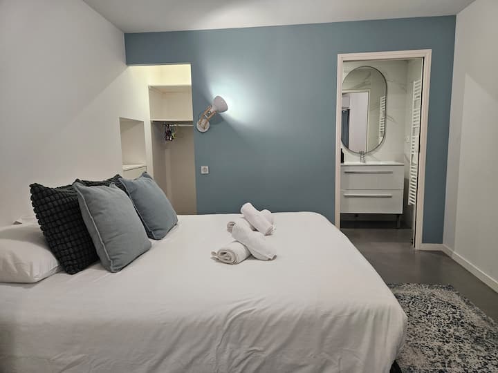 Charme Au Coeur De Tours - Tours