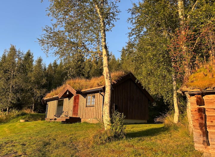 Idyllisk Hytte I Budalen-inngangen Til Forollhogna - Norway