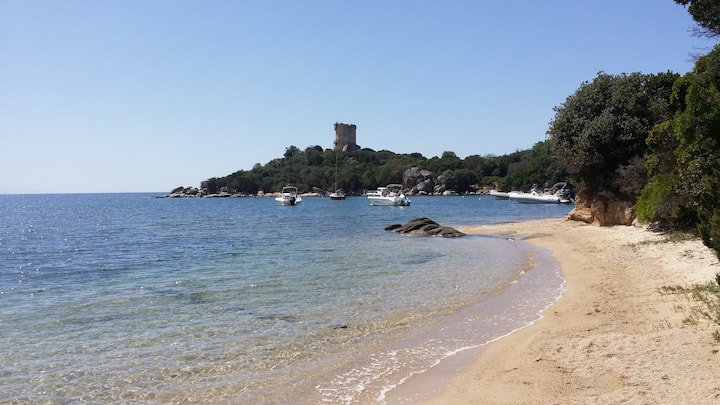 Suite " I Peri" - Aéroport de Figari-Sud-Corse (FSC)