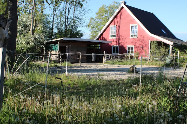 Urlaub Am Bodden Auch Mit Pferd - Barth