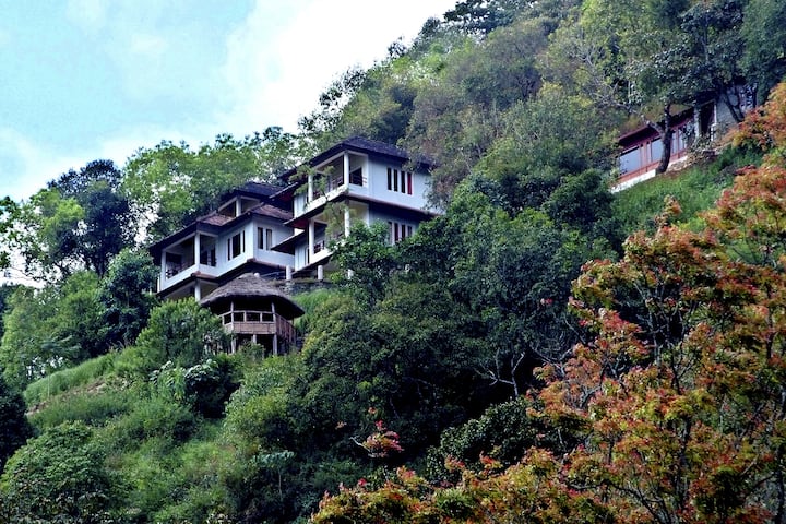 Valley View Jacuzzi Cottage In Munnar - Munnar