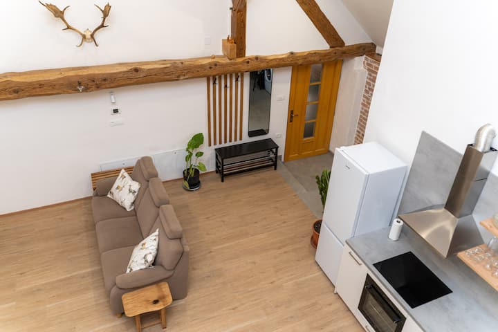 Timeless Barn - Deer Apartment - Ljubljana
