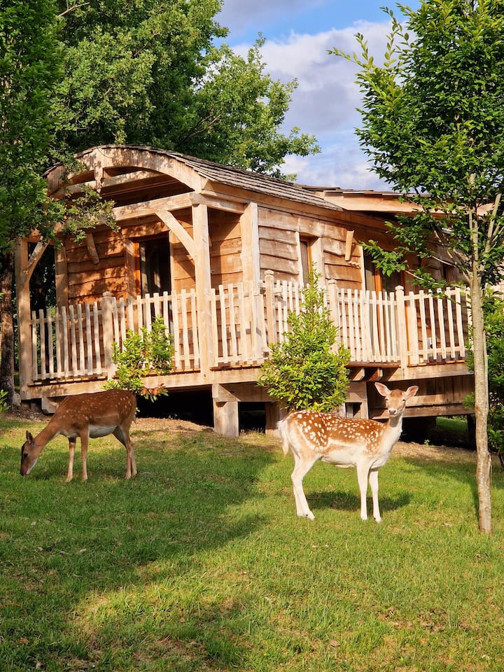 Cabane Daims, Vue Panoramique, Spa Privatif - Tonneins