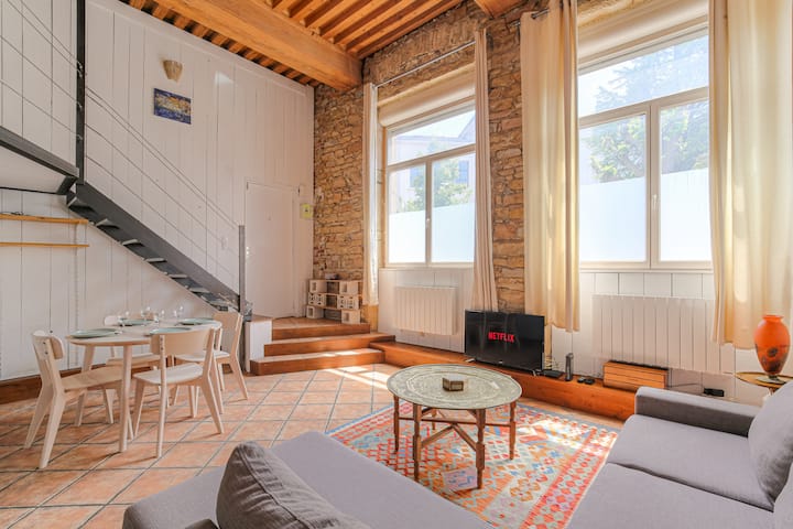 Duplex Atypique De L'orangerie - Caluire-et-Cuire
