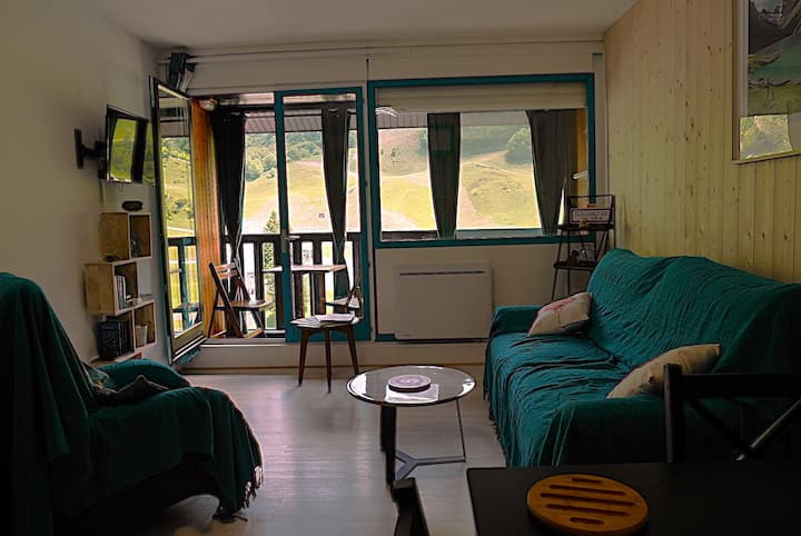 Appartement Les Anglas-gourette-face à La Montagne - Laruns