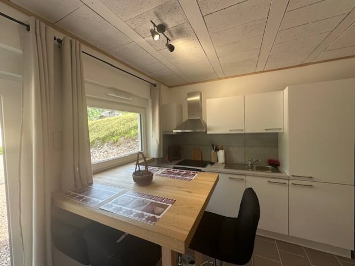 Studios 1 Le Bonheur Vosgien - Saulxures-sur-Moselotte