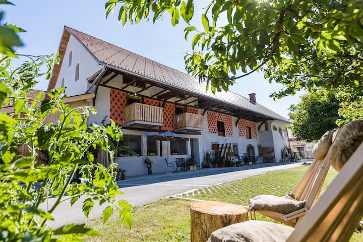 Timeless Barn-sparrow Apartment - Ljubljana