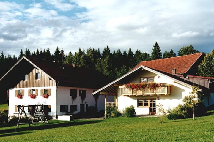 Urlaub Auf Dem Ferienhof Kraus Nähe Bodenmais - Bodenmais