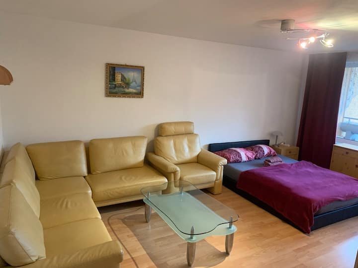 Chaletroza Munich Apartment - Munich