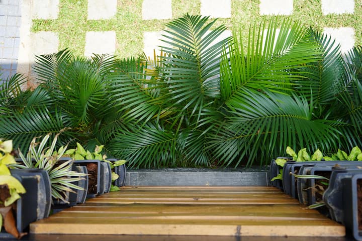 Nature 2bhk Ac Villa - Thiruvananthapuram