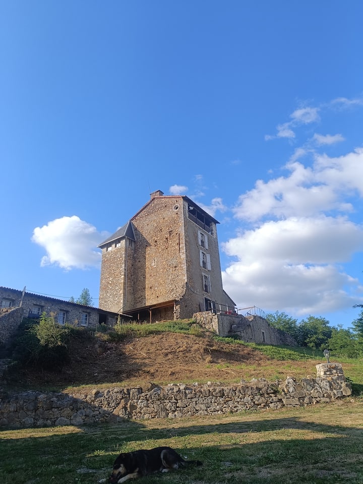 Château Montegut – Appartement Privé, Nature&fibre - Montréjeau