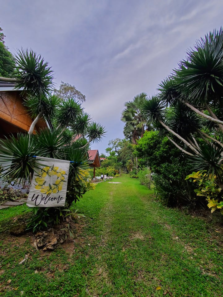 Amparos Guimaras - San Lorenzo