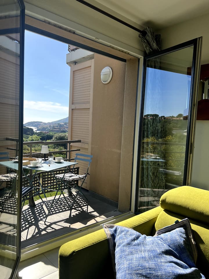 Chez Nini : Balcon Vue Sur La Baie, Parking Privé - Collioure