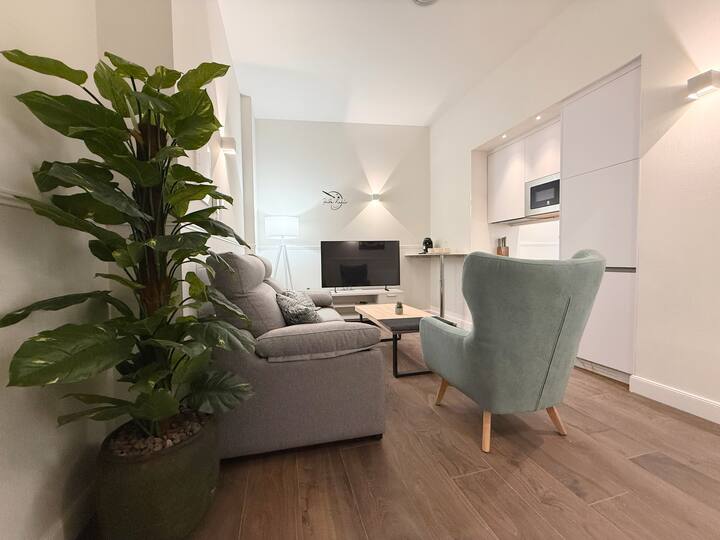 Mk77 León Zuloaga_frida Kahlo - León, Espagne