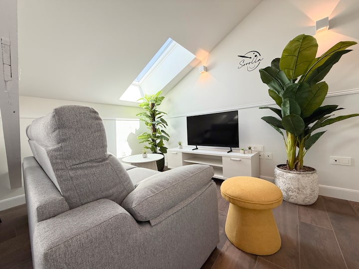 Mk77 León Zuloaga_sorrolla - León