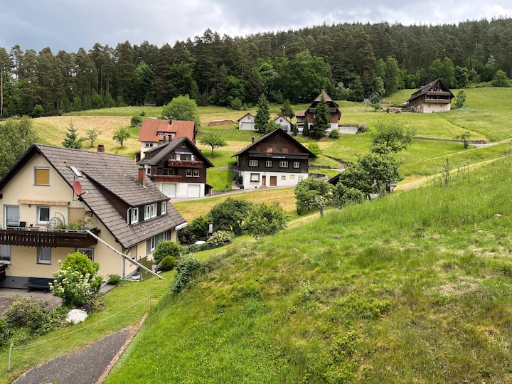 Waldblick-appartement - Baiersbronn